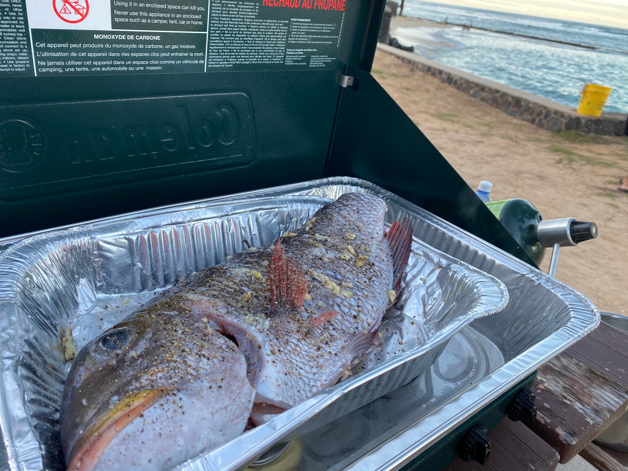 My Top 10 fish to catch & eat – Shore Fishing Oahu